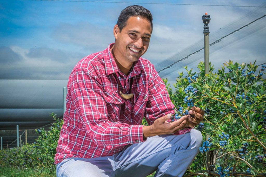 New Zealand fresh fruit and vegetables